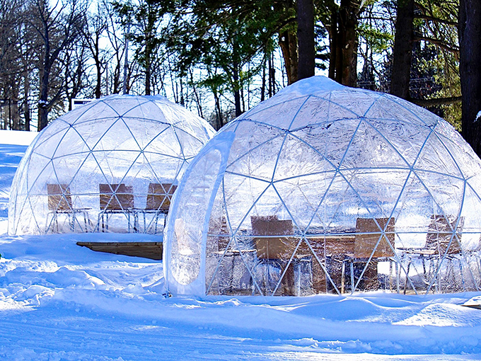 Pineland Farms' geodesic domes stand like crystalline bubbles against the snowy Maine landscape, turning winter dining into a magical escape from reality.