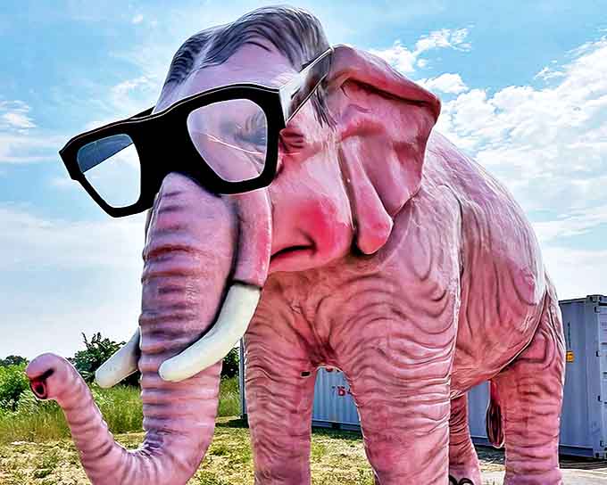 Behold Pinkie in all its rosy glory, sporting glasses that suggest this elephant takes its roadside duties very seriously.