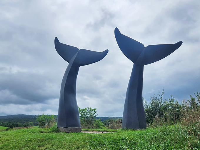 Twin titans of the Vermont landscape, these whale tails create an unexpected maritime moment miles from any ocean.