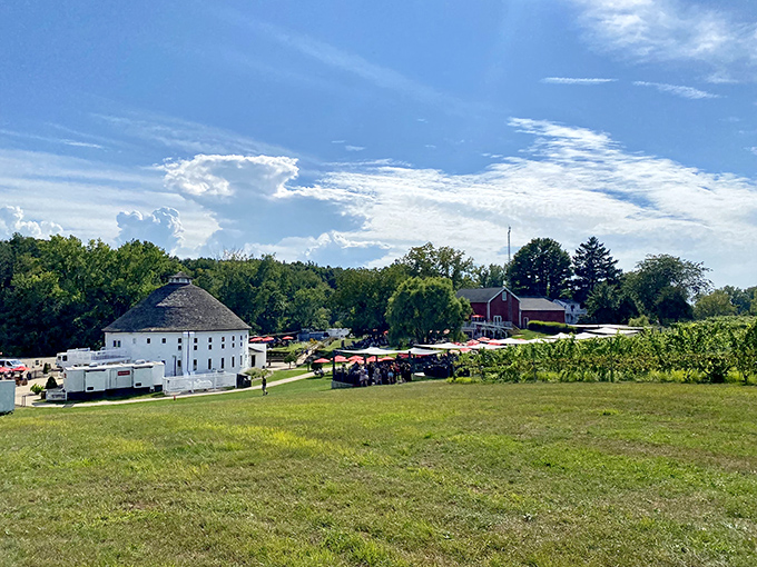 Round Barn Winery: The iconic white round barn stands majestically against Michigan's blue sky, a beacon for thirsty travelers seeking liquid treasures in Baroda's wine country.
