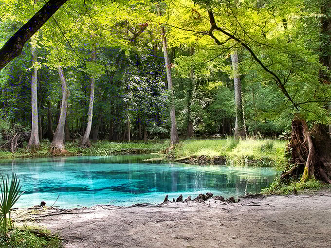 Nature's swimming pool beckons with an otherworldly blue that has to be seen to be believed &ndash; Florida's best-kept aquatic secret.