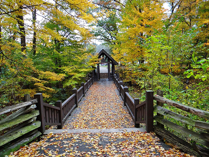 The iconic covered bridge welcomes visitors to Seven Bridges Trail, where autumn leaves create a golden carpet inviting adventure seekers forward.