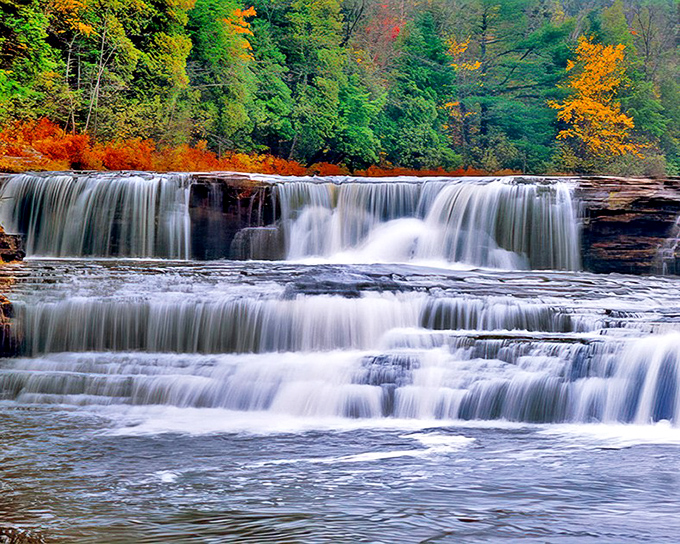 Nature's own root beer cascade tumbles dramatically through autumn foliage, creating Michigan's most mesmerizing waterfall spectacle.
