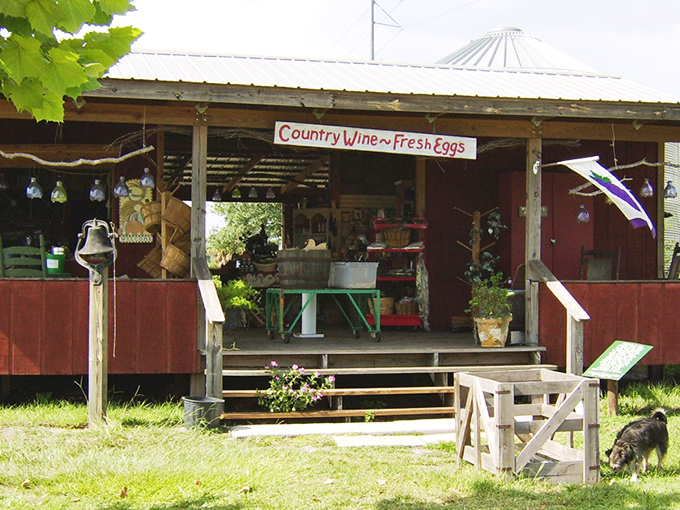 The welcoming facade of Henscratch Farms beckons visitors with its rustic charm and promise of country wines and fresh eggs.
