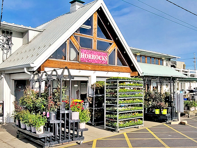 The distinctive A-frame entrance of Horrocks welcomes food adventurers with promises of culinary treasures waiting just beyond those doors.