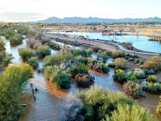 The Queen Creek Wash Trail stretches out like nature's own welcome mat, inviting everyone to explore without the drama.