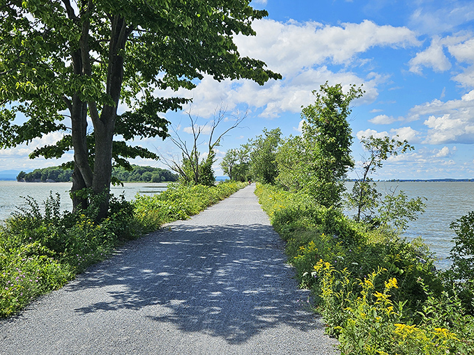 A sun-dappled path beckons between lake and sky &ndash; Vermont's Colchester Causeway invites you into a world where water meets wonder.
