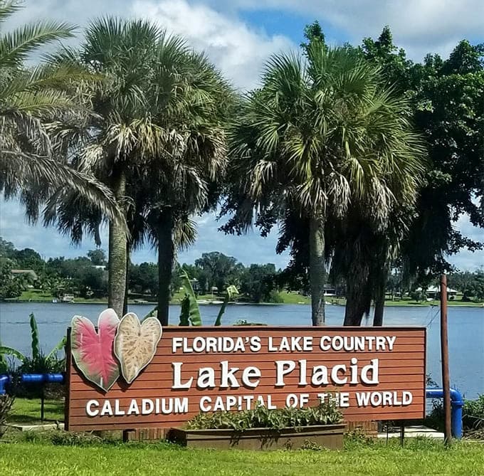 Welcome to Lake Placid, where even the welcome sign knows how to make an entrance with palm trees and lake views.