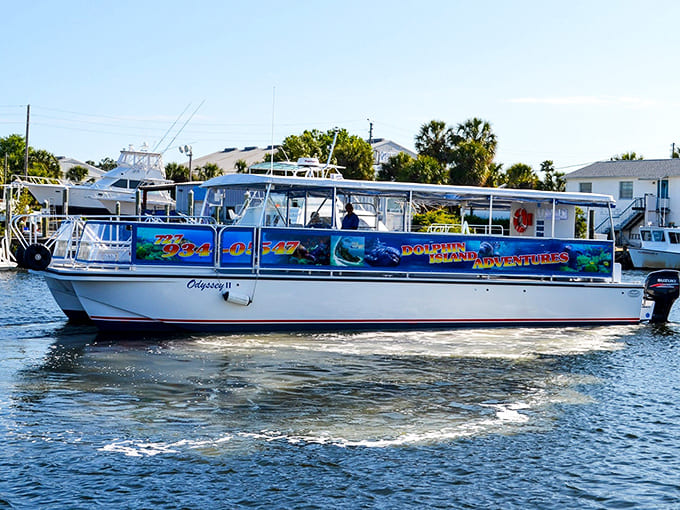 The Odyssey II ready for adventure, painted with vibrant marine life that hints at the underwater wonders you'll discover on your journey.