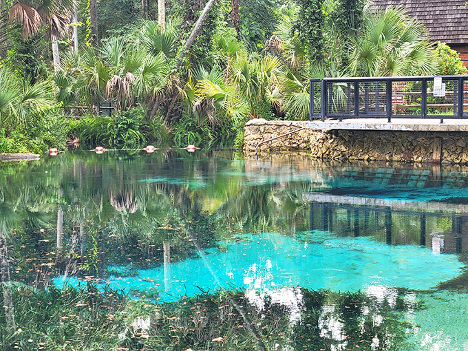 Juniper Springs' crystal-clear waters invite you in with their impossible blue-green hue that looks Photoshopped but is 100% natural.