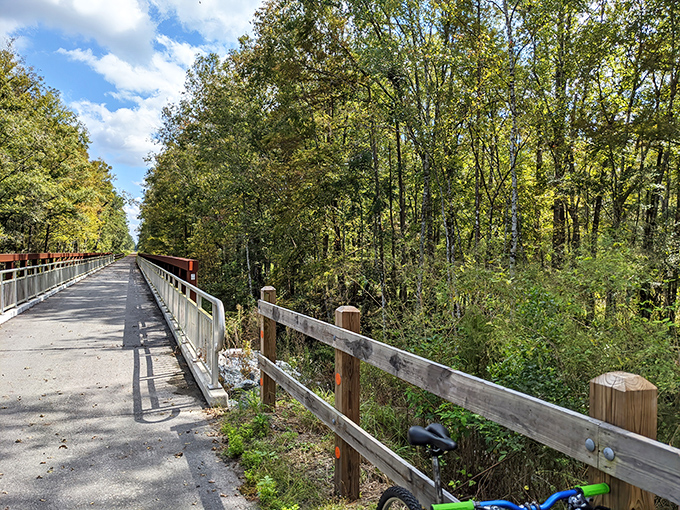 The Rice Creek Levee Trail stretches before you like nature's red carpet, inviting exploration with every sun-dappled step.