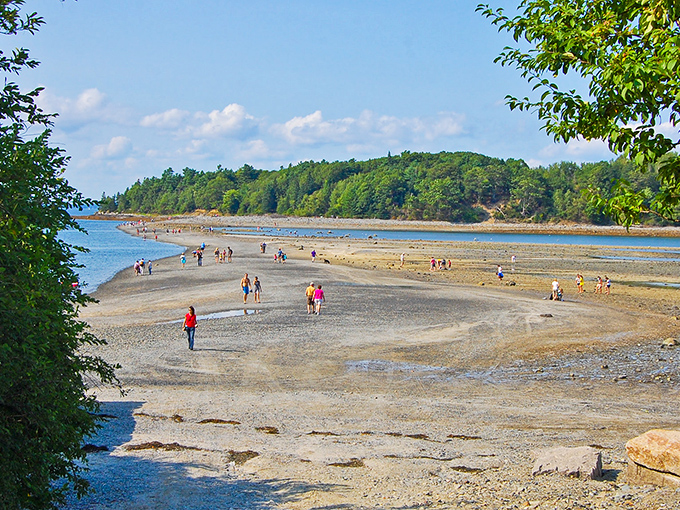Nature's own red carpet, appearing twice daily when the tide recedes. No reservation required, just good timing!