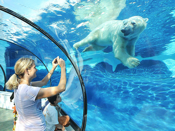 The Detroit Zoo entrance welcomes visitors to one of Michigan's most impressive wildlife destinations where world-class animal encounters await just minutes from downtown Detroit.