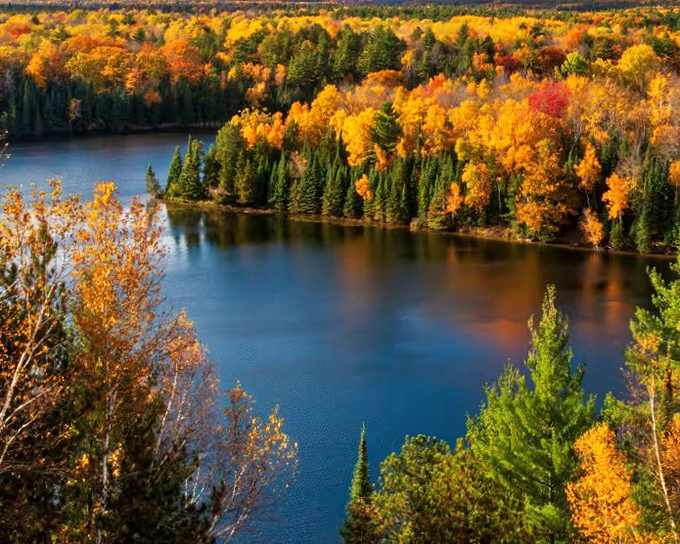 Nature's color explosion at Foote Pond Overlook, where autumn transforms Michigan's forests into a painter's palette that would make Monet jealous.