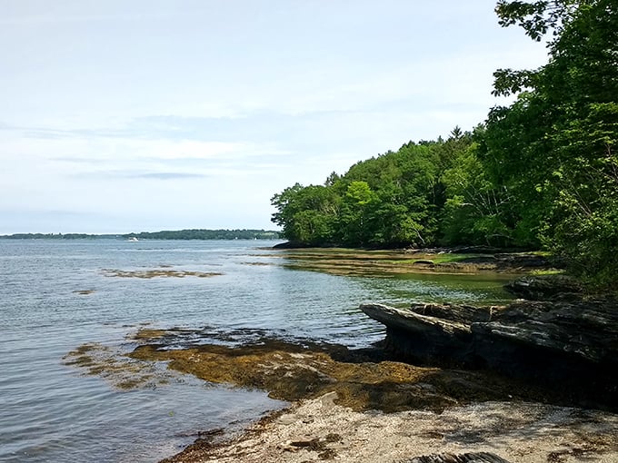 Where the forest meets the sea: Mackworth's rocky shoreline offers a front-row seat to Maine's coastal splendor.