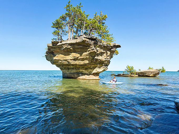 Turnip Rock stands majestically in Lake Huron's crystal waters, its pine-topped crown defying gravity like nature's own sculpture garden.