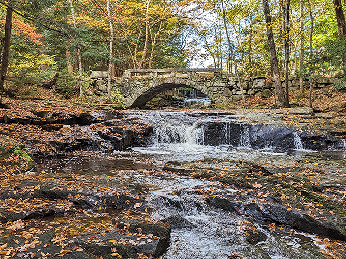 Vaughan Woods' stone bridge creates a perfect arch over cascading waters, where reality and fantasy blur into Maine's most enchanting forest scene.