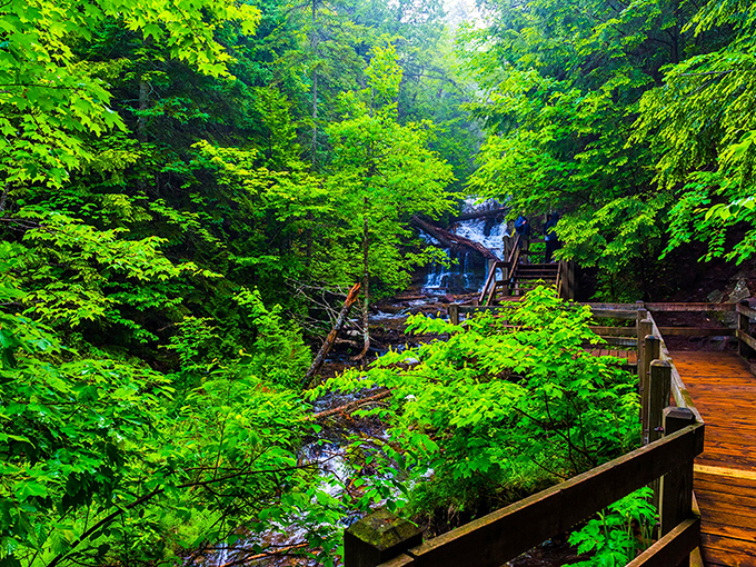 Wagner Falls Scenic Site: Nature's perfect miniature &ndash; where 23 acres pack more charm than parks ten times its size.