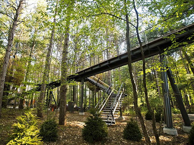Whiting Forest of Dow Gardens: Where trees reach for the sky and visitors can too, Michigan's aerial playground invites adventurers of all ages.