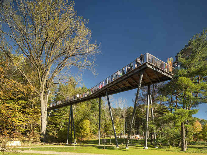 Whiting Forest's canopy walkway stretches an impressive 1,400 feet, making it America's longest treetop adventure, nature's ultimate skyway!
