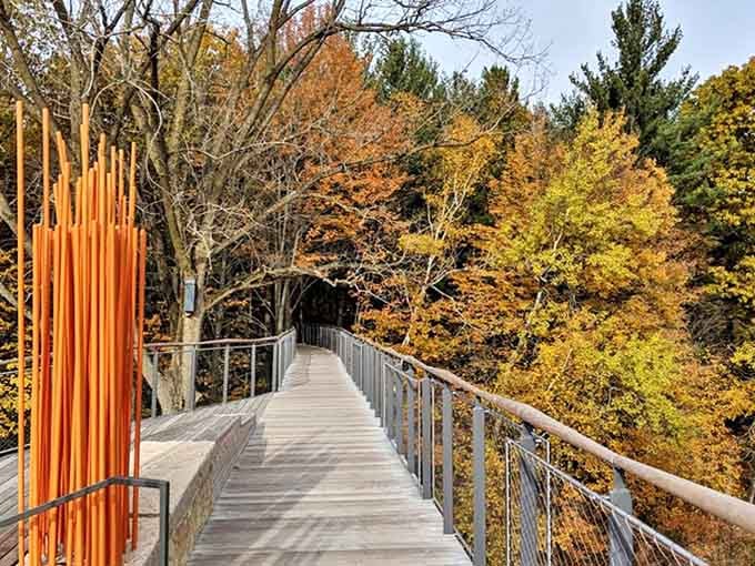 Whiting Forest's entrance welcomes visitors with vibrant orange poles reaching skyward, like nature's own exclamation points against the autumn foliage.