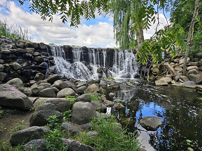 Nature's perfect cascade: Whitnall Park's waterfall creates a mesmerizing display as water tumbles over ancient rocks into the crystal-clear pool below.