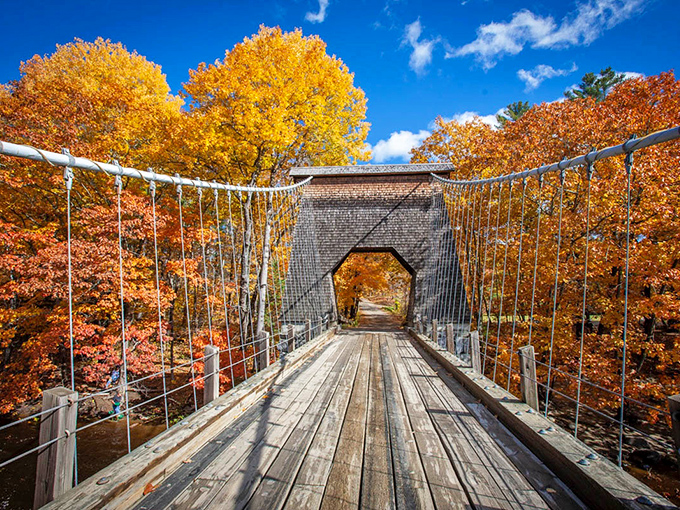 Autumn's golden embrace transforms the Wire Bridge into a painting come to life, with vibrant foliage framing this historic treasure.