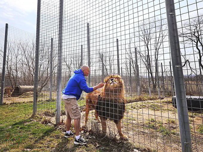 1. wisconsin big cat rescue