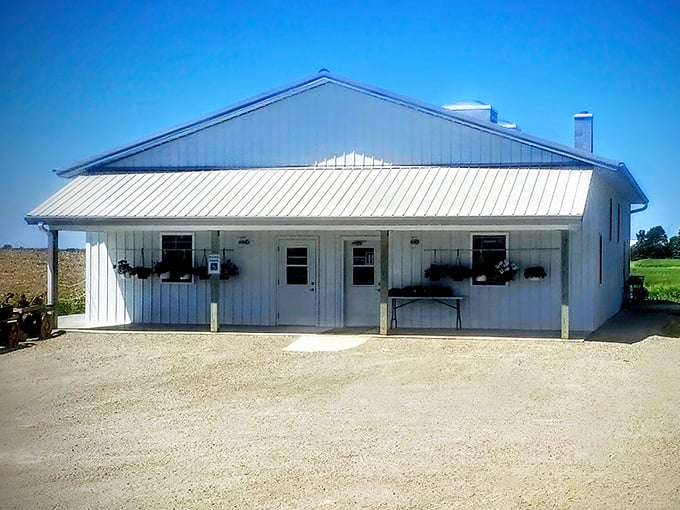 The unassuming white exterior of Gibson Corner Grocery stands like a beacon of simplicity against Wisconsin's vast farmland backdrop.