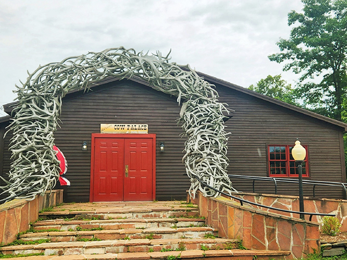 Welcome to wilderness dining! The iconic antler archway at Derby Cow Palace makes an unforgettable first impression.