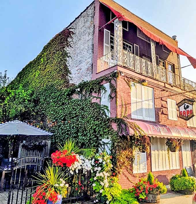 Meister's rustic wooden exterior welcomes hungry travelers with its simple charm and promise of small-town hospitality in Scandia.