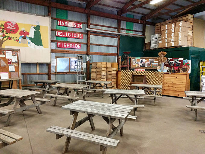 Rustic picnic tables await hungry visitors in the spacious indoor seating area, where apple-themed decor and the scent of cinnamon create the perfect autumn atmosphere.