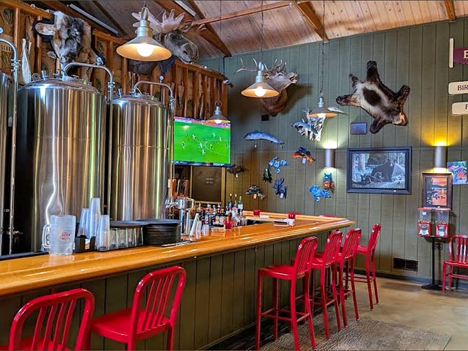 Gleaming brewery tanks behind the bar promise fresh beer &ndash; while mounted fish and wildlife observe from their perches on green walls.