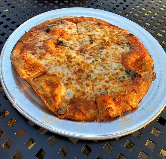 This isn't just flatbread; it's a crispy canvas showcasing the beautiful marriage of melted cheese, fresh basil, and perfectly balanced toppings.