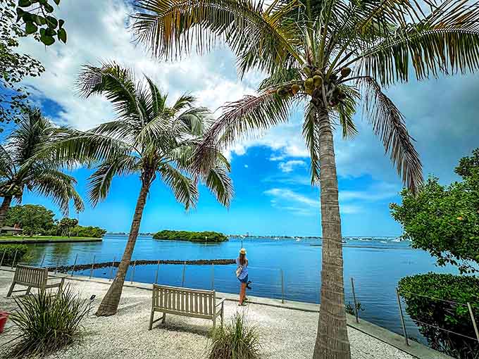 Palm trees frame a breathtaking view of the blue bayfront, offering a perfect, sunny spot to relax and enjoy Sarasota.