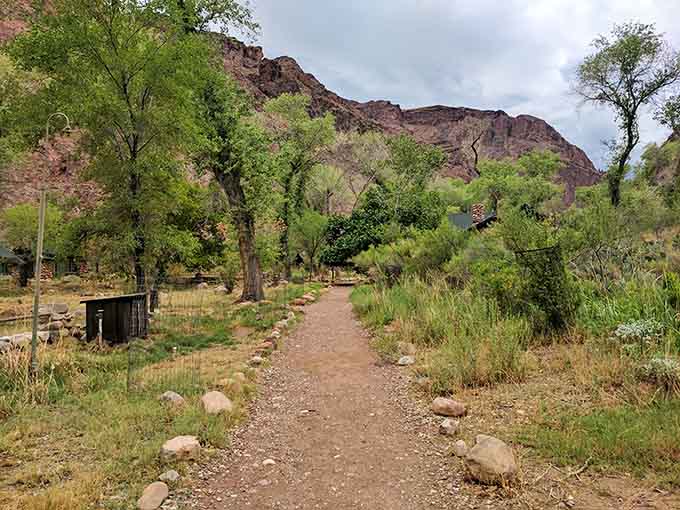 Another angle of the suspension bridge reveals its elegant engineering, hanging above the river like it's the easiest thing in the world.