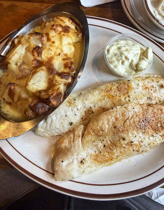 The broiled walleye arrives perfectly flaky with a side of potatoes au gratin that could make a French chef weep with buttery joy.
