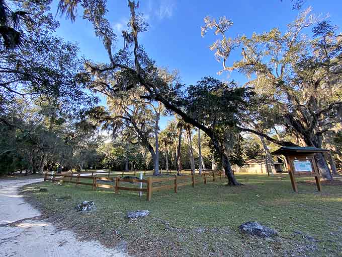 There's something peaceful about picnic areas where the most exciting thing that happened recently was probably a squirrel stealing someone's sandwich.