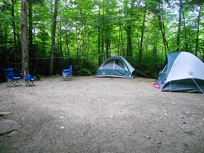 Camping nirvana awaits under towering pines, where stories told around flickering flames become the memories families cherish for generations to come.