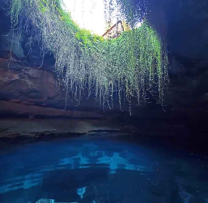 The cave opening frames the water like nature's own picture window, except the view never gets old and there's no glass to clean.