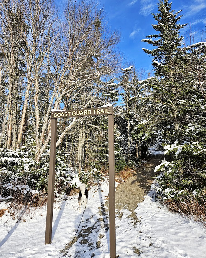 The Coast Guard Trail beckons: Snow-dusted paths lead adventurers through winter's quiet magic, promising solitude and breathtaking vistas.