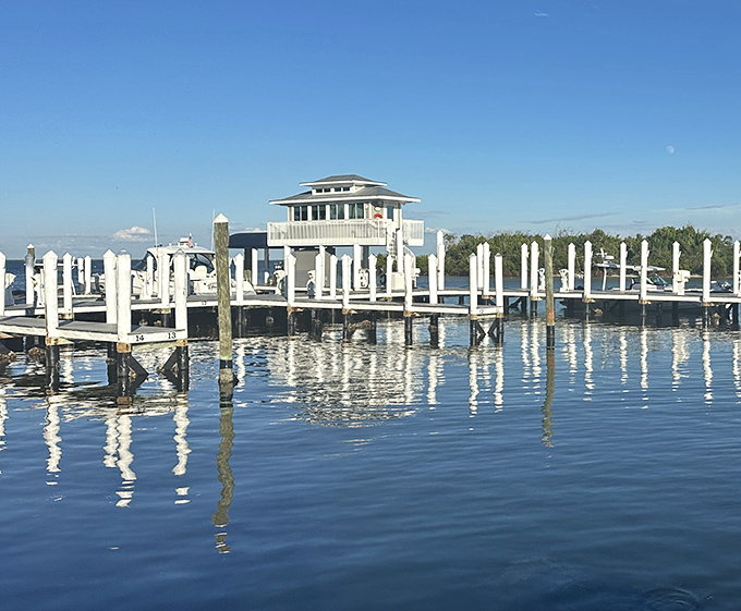 Waterfront dining perfection where boats bob gently alongside diners enjoying Gulf-to-plate seafood with spectacular views.