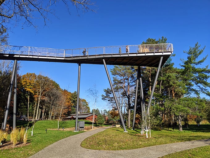 Walking 40 feet above ground, visitors experience the forest from an entirely new angle, no climbing gear or superhero powers required!