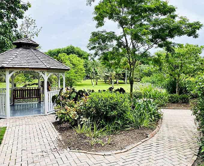 This gazebo hosts peacocks like it's their personal stage, and they're always ready to perform for an audience.