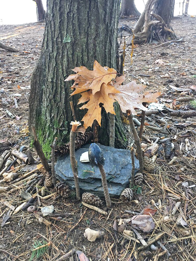 Fairy architects have created a mini forest dwelling against this tree, using the natural curve of roots to support their ambitious design.