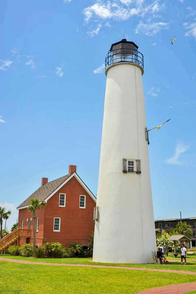 The St. Marks Lighthouse stands tall against the sky, its historic silhouette a reminder of maritime days gone by.