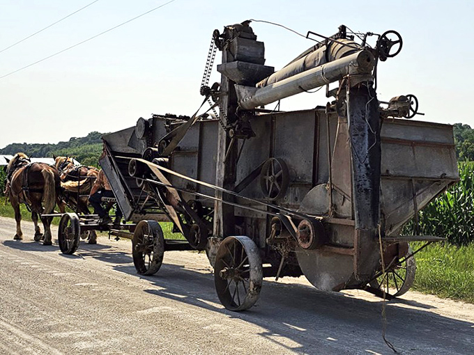 This horse-drawn threshing machine represents farming technology that the Amish community still embraces, proving sometimes the old ways remain the most sustainable.