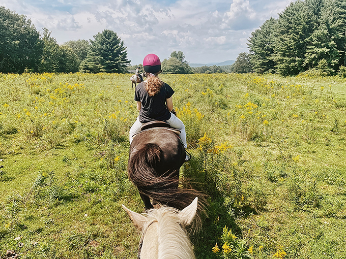 Following the leader through golden meadows, where each ride creates a unique path and every turn reveals new Maine vistas.