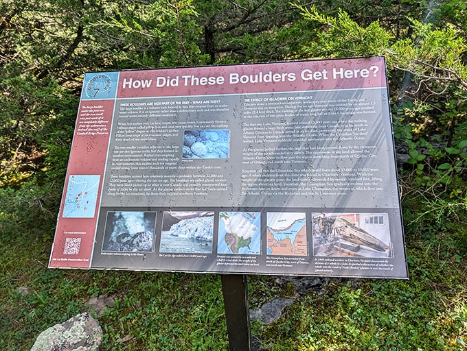 Educational panels transform casual walks into mind-expanding journeys, explaining how these ancient boulders traveled through time and space.