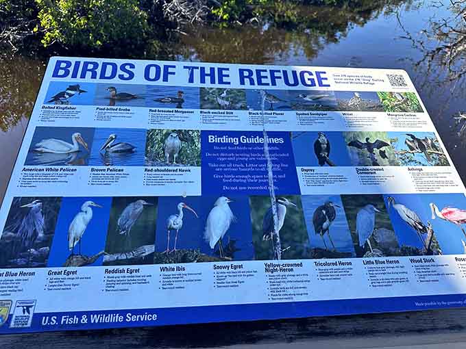 Educational signs that actually make learning fun, unlike that one teacher you had in seventh grade.